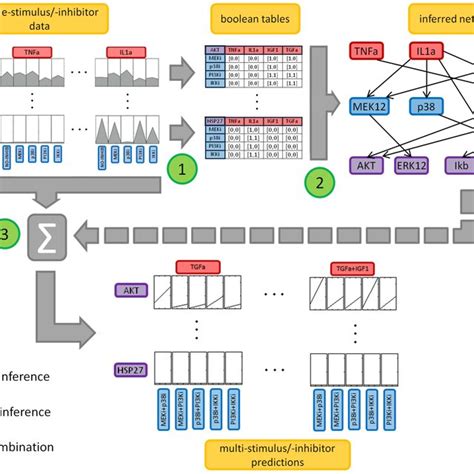 Workflow Representing The 3 Steps Of The Method 1 Boolean Inference Download Scientific