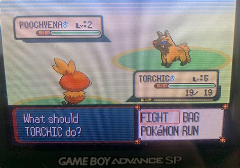 [3] Shiny Torchic After A Total Of 25608 Srs And Four Phases R
