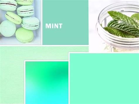 In Und Exterieur In Mintgrün Pastellfarbe Des Jahres