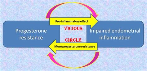 The Role Of Hysteroscopy In Assessing The Impact Of Endometriosis On