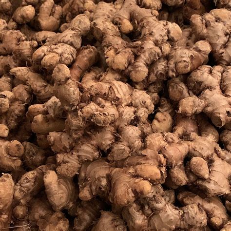 African Ginger Saladvision