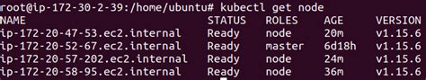 [cetic nifi] kubernetes node update nifi error · issue 38 · cetic helm