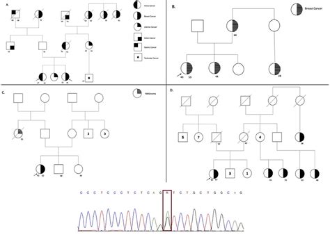 Mutyh Germline Mutations In Colombian Patients Tacg