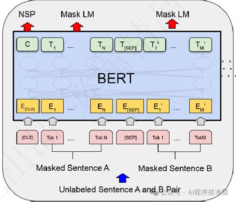 Bert面试题（大模型必问）bert扫地僧009 2048 Ai社区
