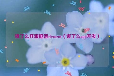 饿了么开源框架element饿了么app开发 IT文章 陈派导航