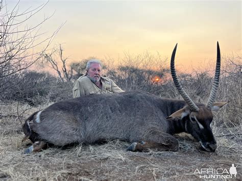 Waterbuck Hunt South Africa