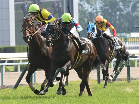 【スワンs】ダイアトニックが38倍で1番人気jra前日オッズ 競馬ニュース Netkeiba