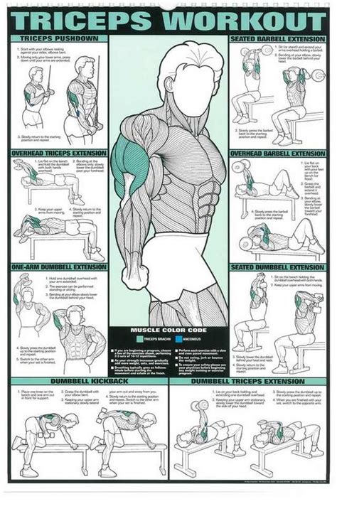 💪mejores Ejercicios De Espalda 2019 Gym Workoutmotivation