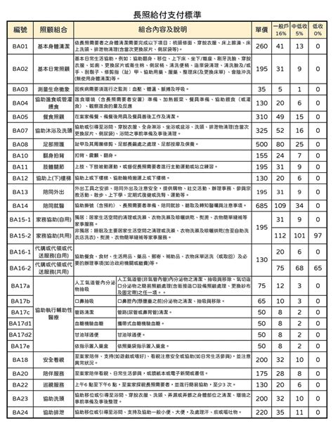 辰逸長照 居家長照服務