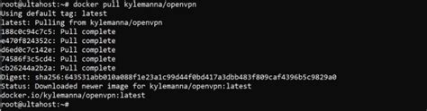 How To Install OpenVPN On Docker Ultahost Knowledge Base