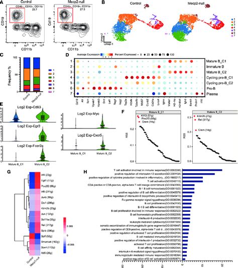 Gene Expression And Characterization Of B Cells Compared To Control And Download Scientific