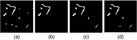 Attribute Openings Of An Image Of Bacteria A A Binary Image Of 256 ×