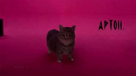 Aptoiia Apt X Oiia Cat Full Version Youtube Music