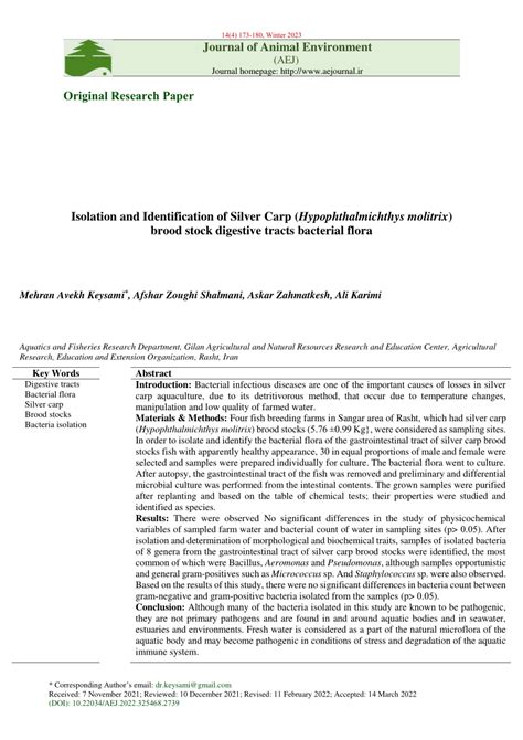 Pdf Isolation And Identification Of Silver Carp Hypophthalmichthys