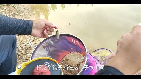 钓小鲫鱼时忘记带挡针，不要急！学会这种手法就能完成无挡针卸鱼 Youtube