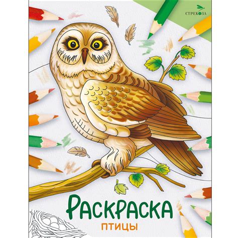 Птицы. Окружающий мир. Раскраска - Стрекоза