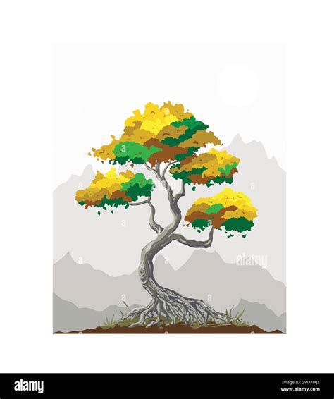 Green Old Tree Bonsai Miniature Traditional Japanese Garden Landscape