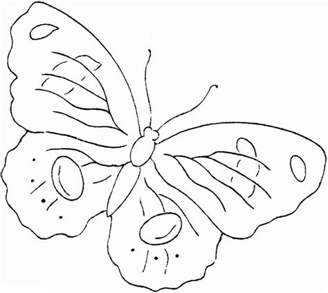 шаблоны для рисования бабочки | Butterfly coloring page, Coloring pages ...