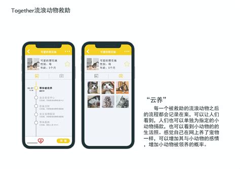 城市公共空间流浪动物救助设施设计 毕设展 矮凳网