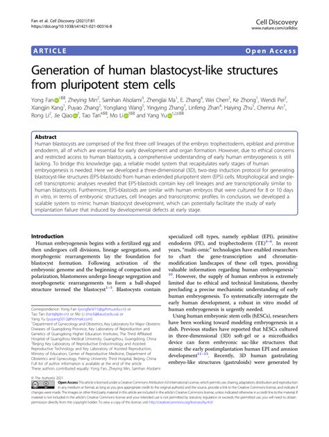 Pdf Generation Of Human Blastocyst Like Structures From Pluripotent