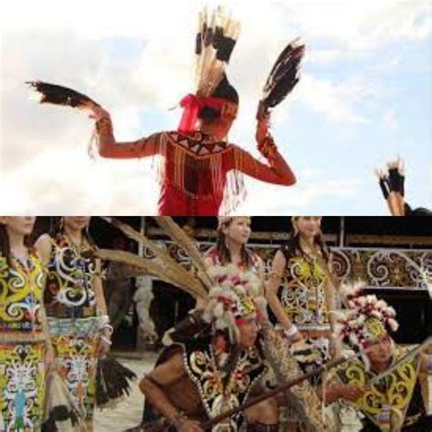 Mengenal Sejarah Hingga Keunikan Budaya Suku Dayak Yang Miliki Keunikan