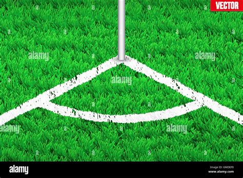 White Angular Lines On Grass Field Stock Vector Image Art Alamy