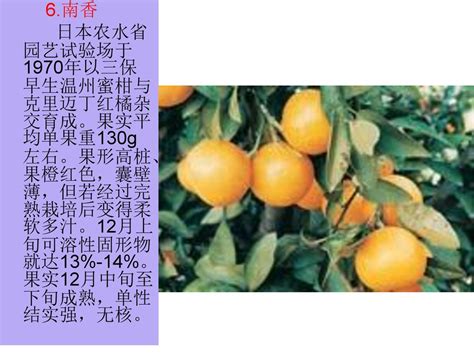 柑桔栽培技术讲座 湘潭生物科技学校许启德 2010年11月18日 柑桔栽培技术讲座 湘潭生物科技学校许启德 ppt download