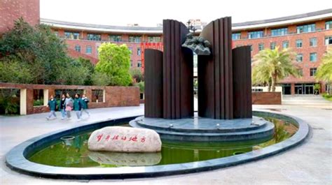 入选温州儿童友好试点单元！乐清这所学校有啥“友好”魔法？