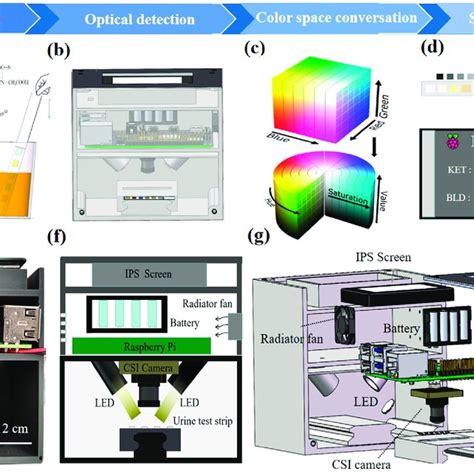 Schematic Illustration Of An Optical POCT Based Colorimetric Analysis