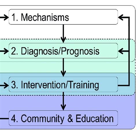 The Theoretical Translational Framework On How En Can Inform Ld