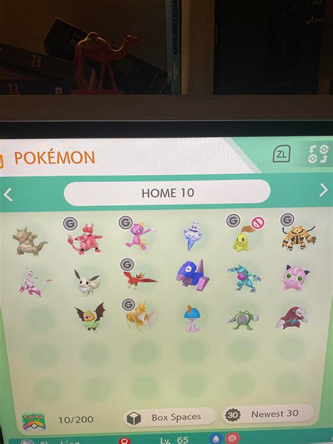 Lf Legit Shiny Terrakion Ft 5 Shiny Pokémon From The Picture Below