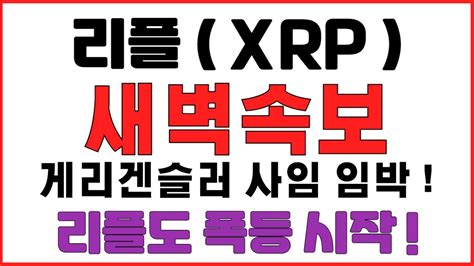 리플코인 새벽속보 게리겐슬러 사임임박 리플도 폭등 시작 불독코인프리세일코인급등코인코인단타 Youtube