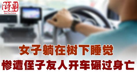 女子躺在树下睡觉 惨遭侄子友人开车碾过身亡 马来西亚诗华日报新闻网