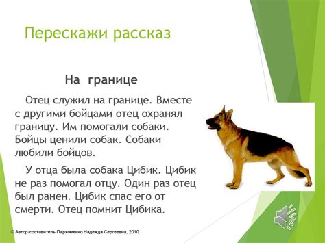 Звук и буква Ц презентация онлайн