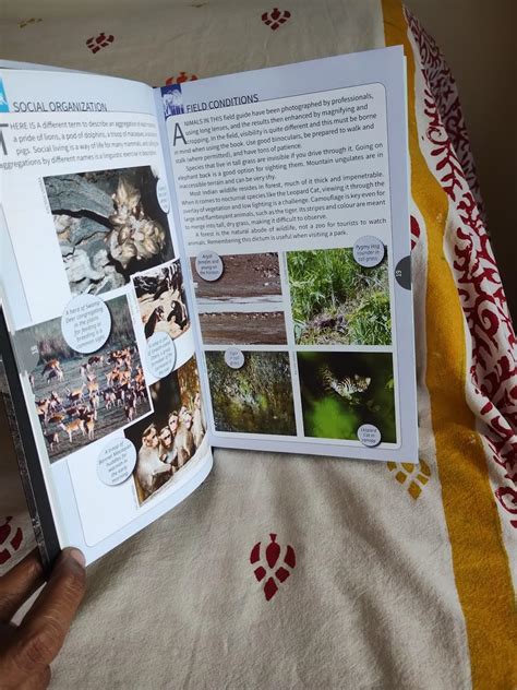 Indian Mammals Menon Vivek Books