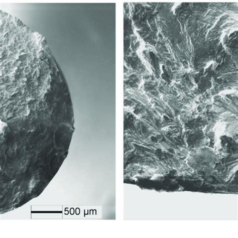 Sn Curve Of Ti6al4v Alloy Download Scientific Diagram