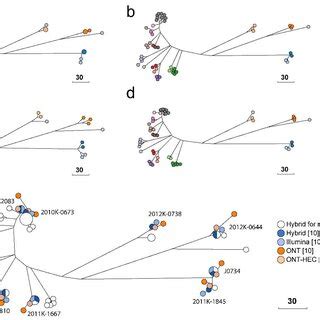 Minimum Spanning Trees MSTs Constructed By CgMLST A MST By Hybrid Download Scientific