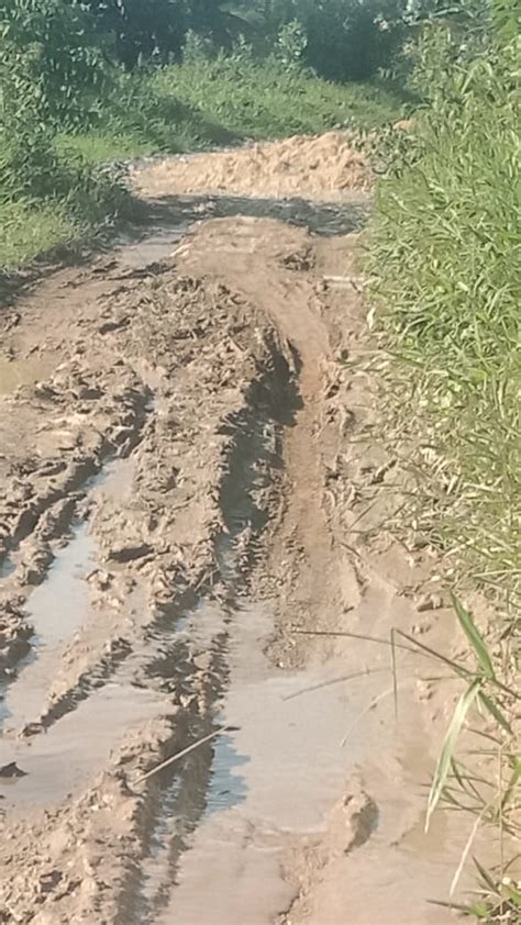 Proyek Jalan Poros Desa Dinas Pupr Sambas Diduga Jadi Ajang Korupsi