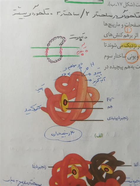 تدریس ساختار پروتئین ها زیست شناسی دوازدهم تجربی کنکور آکادمی امروز