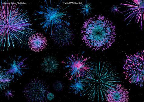 Graphic Design Portfolio 그래픽 디자인 포트폴리오 Behance