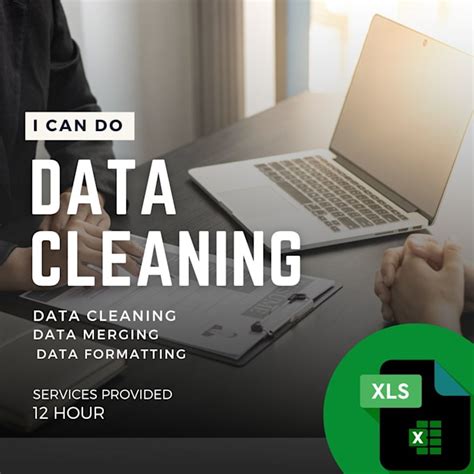 Data Cleaning Format Merge By Binniprajapati Fiverr