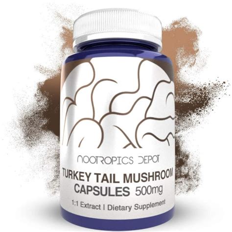 The Best Turkey Tail Mushroom Supplement Supermushrooms