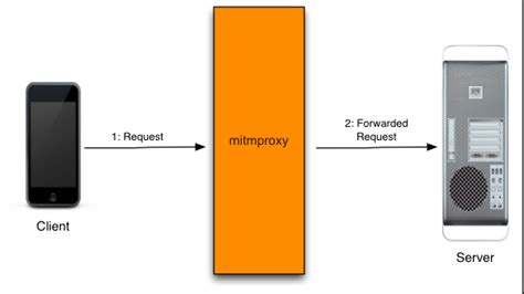 使用 mitmproxy python 做拦截代理 python mitmproxy csdn博客
