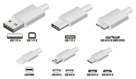 Cổng Thunderbolt và cổng USB C khác nhau như thế nào Blue HAT JSC