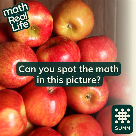 Math In Packing Oranges — Seattle Universal Math Museum