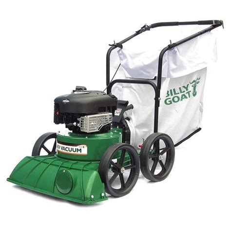 Walfins Billy Goat KV601