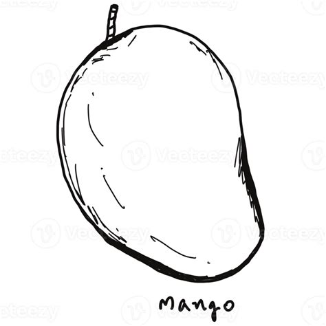 Mango Doodle Drawing Line Draw Of Fruit And Food 27107753 Png