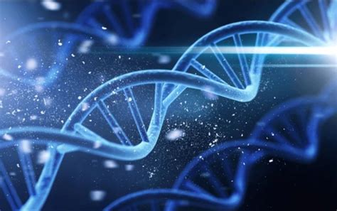 Aryan Shah Kenia On Linkedin Genomics Dnasequencing Bioinformatics Biotech Healthcare