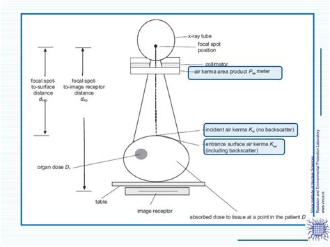 Ppt Dosimetry For Medical Application Of Ionizing Radiations Calibration Requirements And