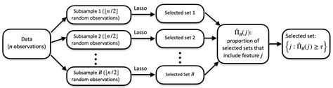Cluster Stability Selection Cssr